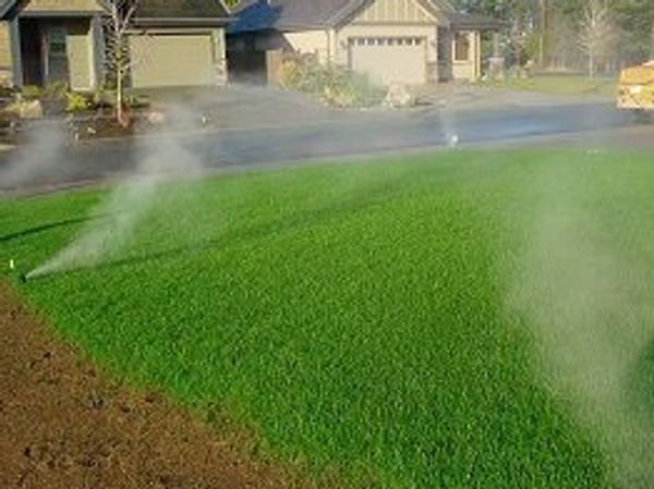 Sprinkler Blowouts | BoiseBackflow.Com